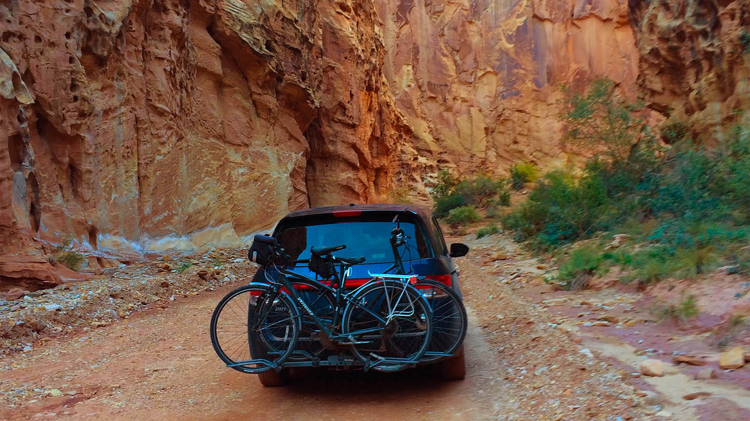 Pedal Easy Electric Bikes - Pedal EasyPedal Easy